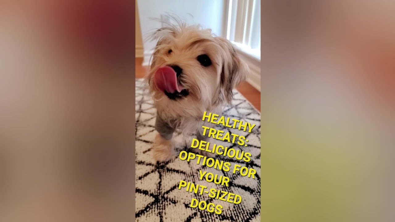 Healthy Treats: Delicious options for your pint-sized dogs!! - YouTube