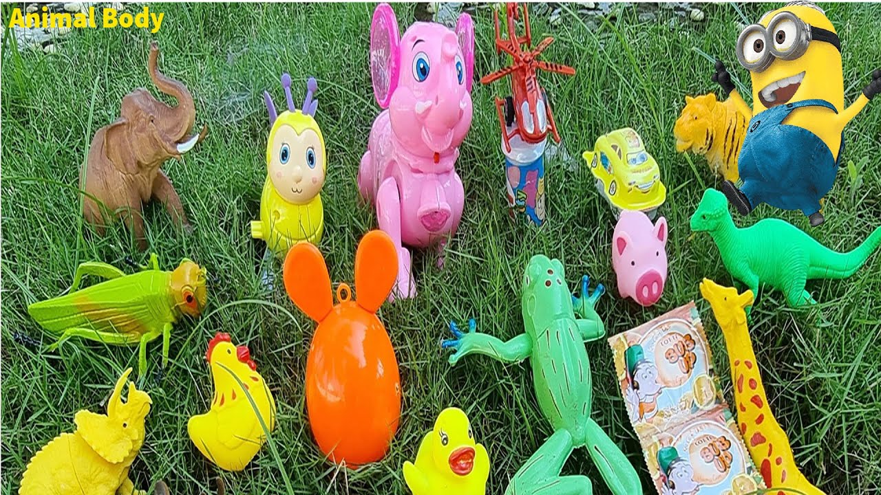 Minion and fun adventure with friends - Animals in the grasslands: cows ...