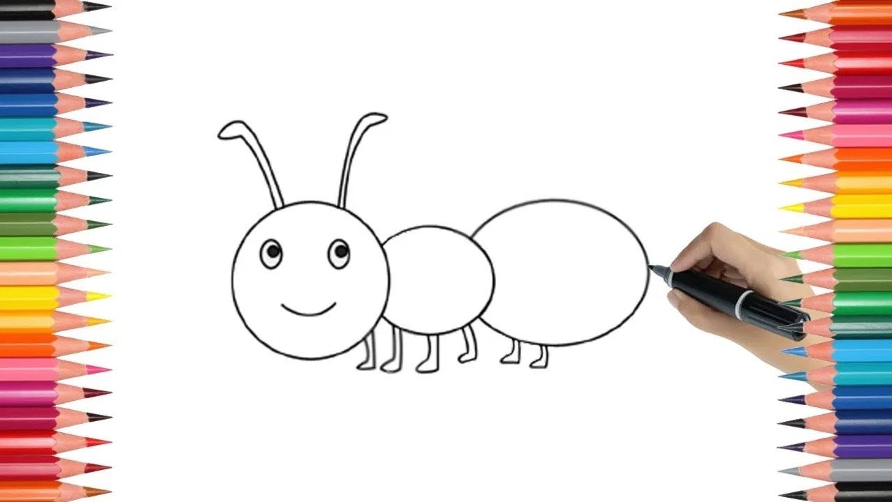 Ant Drawing Easy Step By Step at Gladys Zachery blog