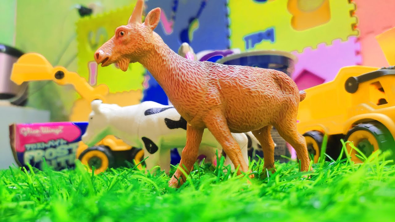 Hunting permen yupi, sapi, excavator, truck, bebek, kambing, buffalo ...