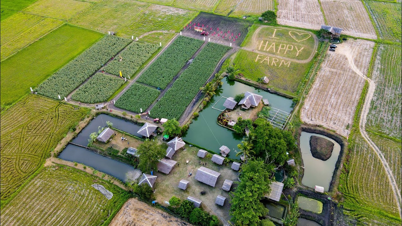 🌻HAPPY FARM | POTOTAN, ILOILO. - YouTube