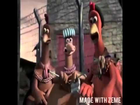 stole my bike from chance the amercian bulldog