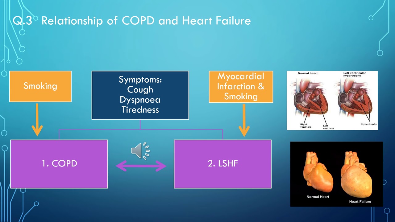 Pathophysiology Case Study for Patrick - YouTube