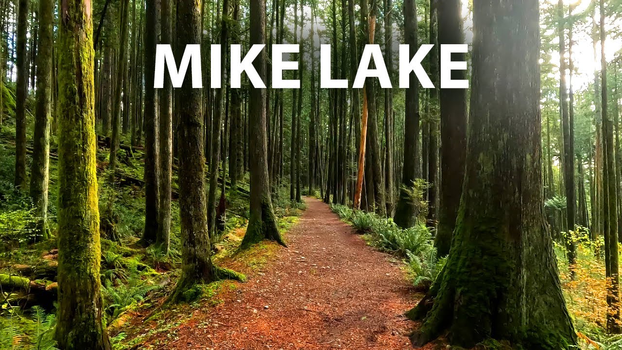 Beautiful Relaxing Forest Walk to Mike Lake in Golden Ears Park, Maple ...