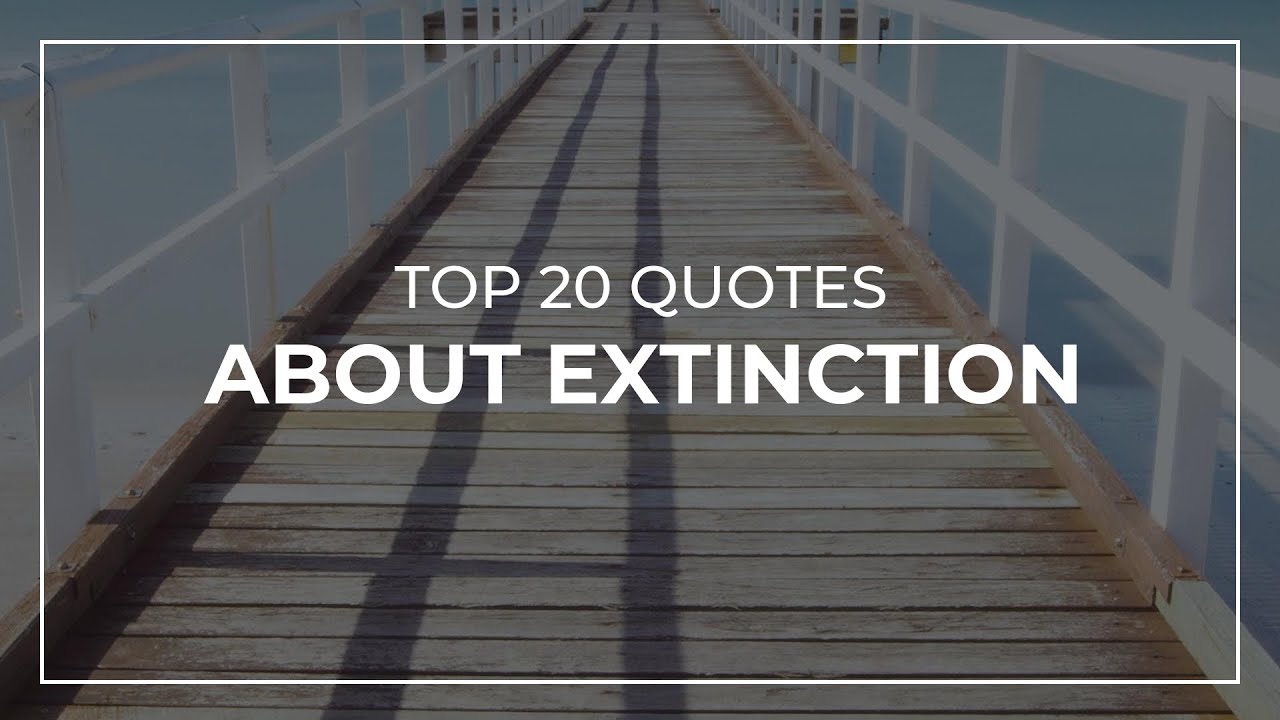 TOP 20 Quotes about Extinction | Soul Quotes | Amazing Quotes - YouTube