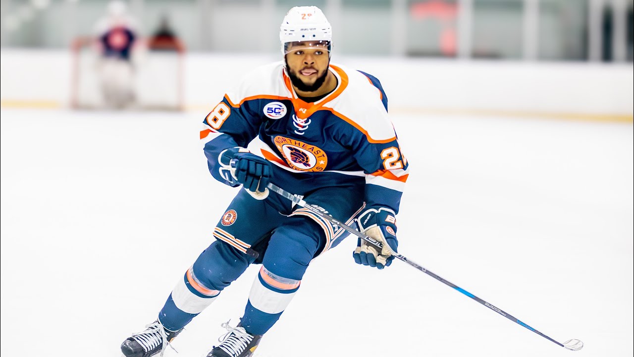 Divyne Apollon 2024-2025 Fight Compilation - YouTube