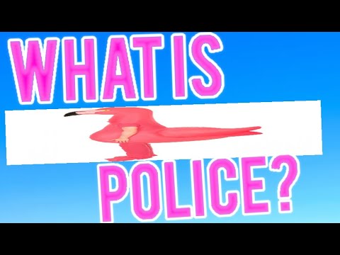 What is Flamingo Police? - YouTube