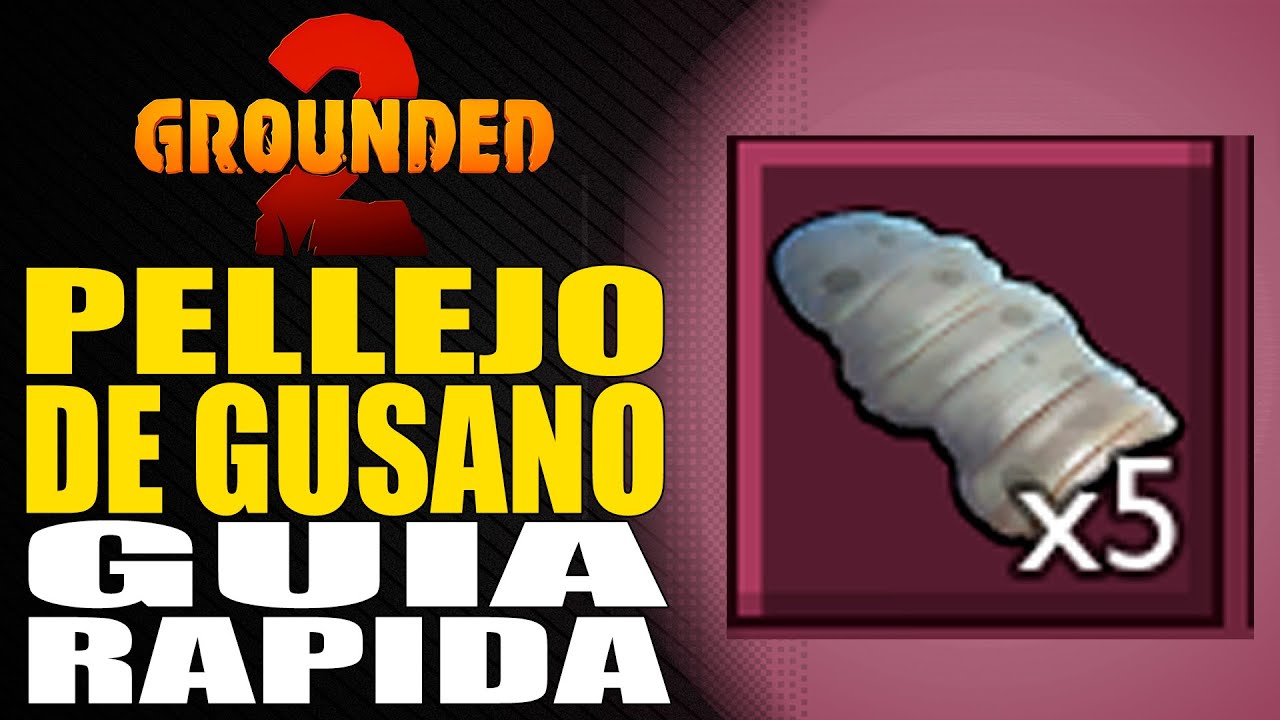 Dónde conseguir Pellejo de gusano - Guía rápida - Grounded 2 - YouTube