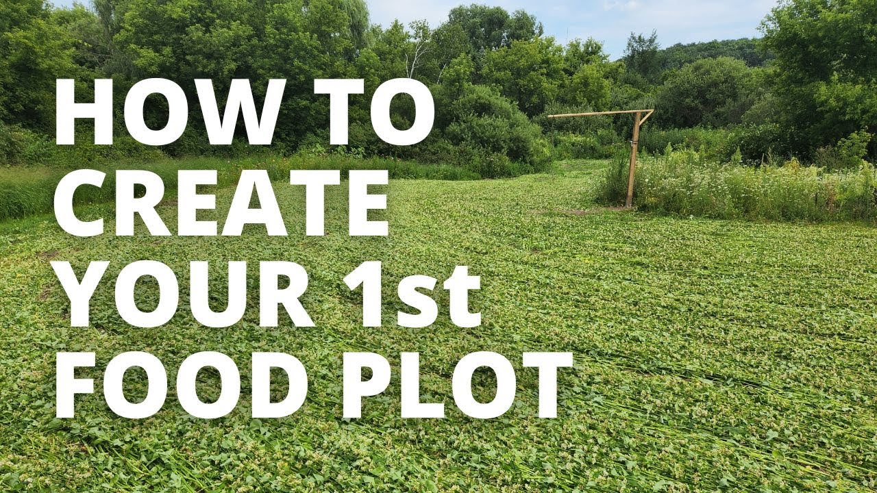 Essential Tips For Food Plot Prep & Planting - Don't Miss Out! - YouTube