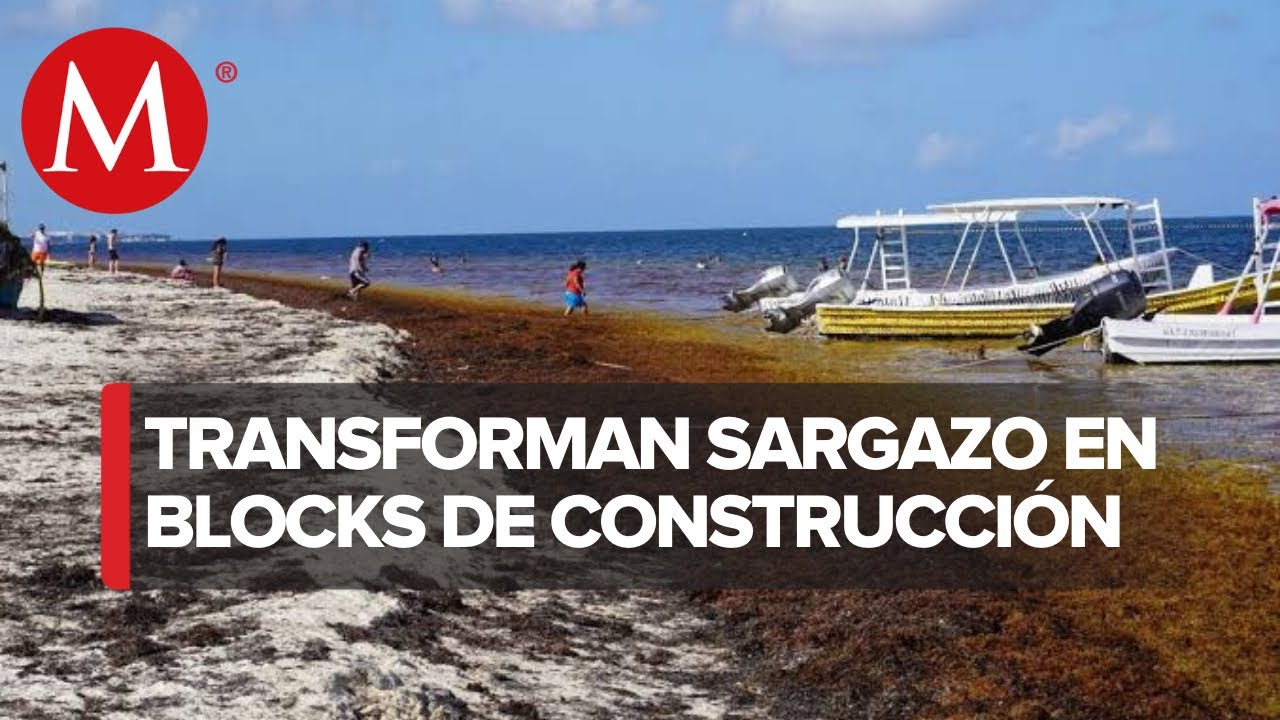 La solución a el sargazo en las playas: Sargablock - YouTube