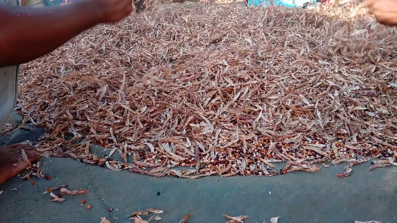How to make kajanas kajan in my village people - YouTube