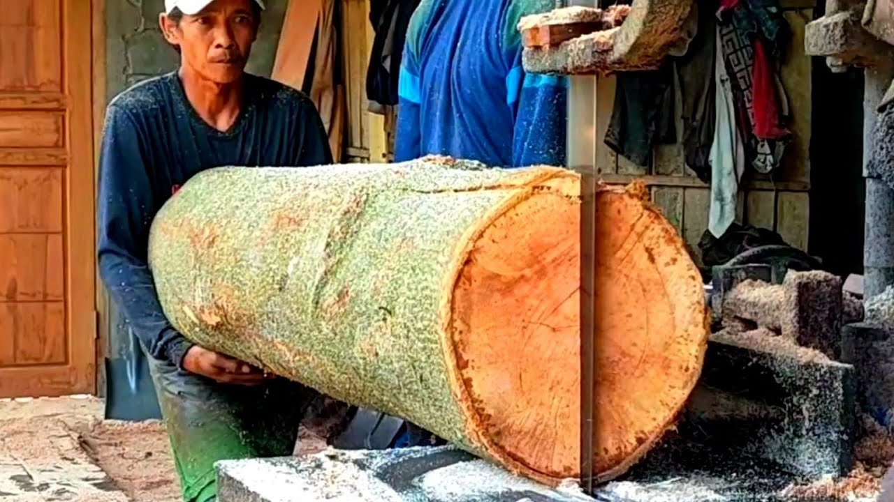 Masters,,!! Bandsaw36 Taiwan Pandan Chopping Durian Wood Stick Material ...