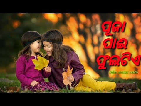 Puja pai phula tiye whats app status video