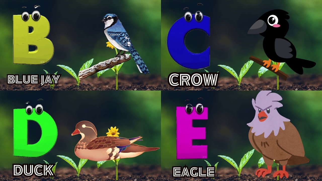 Birds Alphabet Song for Kids | Birds ABC Song | Phonics for Kids | Baby ...