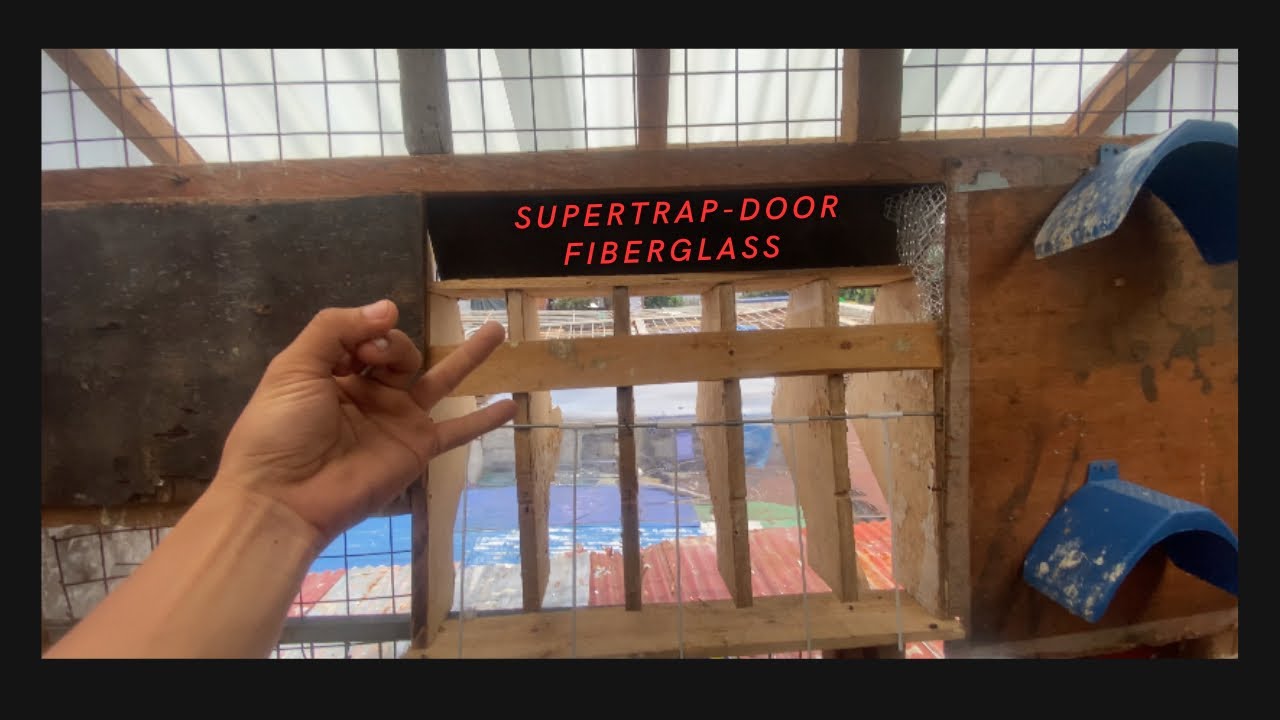 FIBERGLASS TRANSPARENT SUPER TRAPDOOR - YouTube