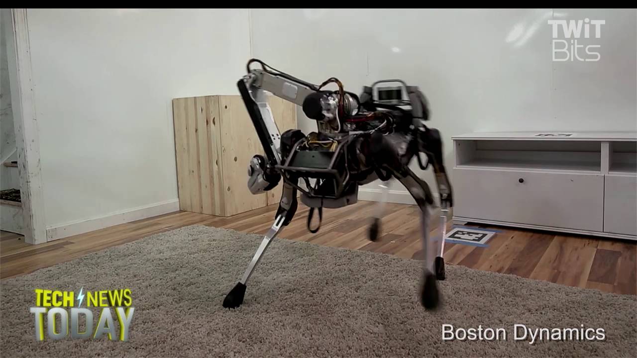 Robot Slips On Banana Peel! - YouTube