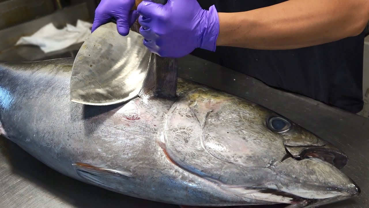 Ocean to Table: Yellowfin Tuna Cutting by Stunning Chefs! 🍣 - YouTube
