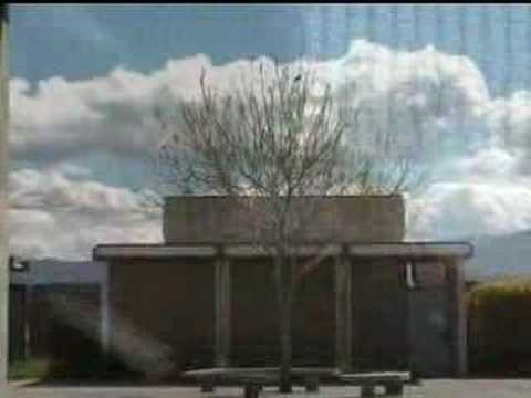 Senior Project Movie - YouTube