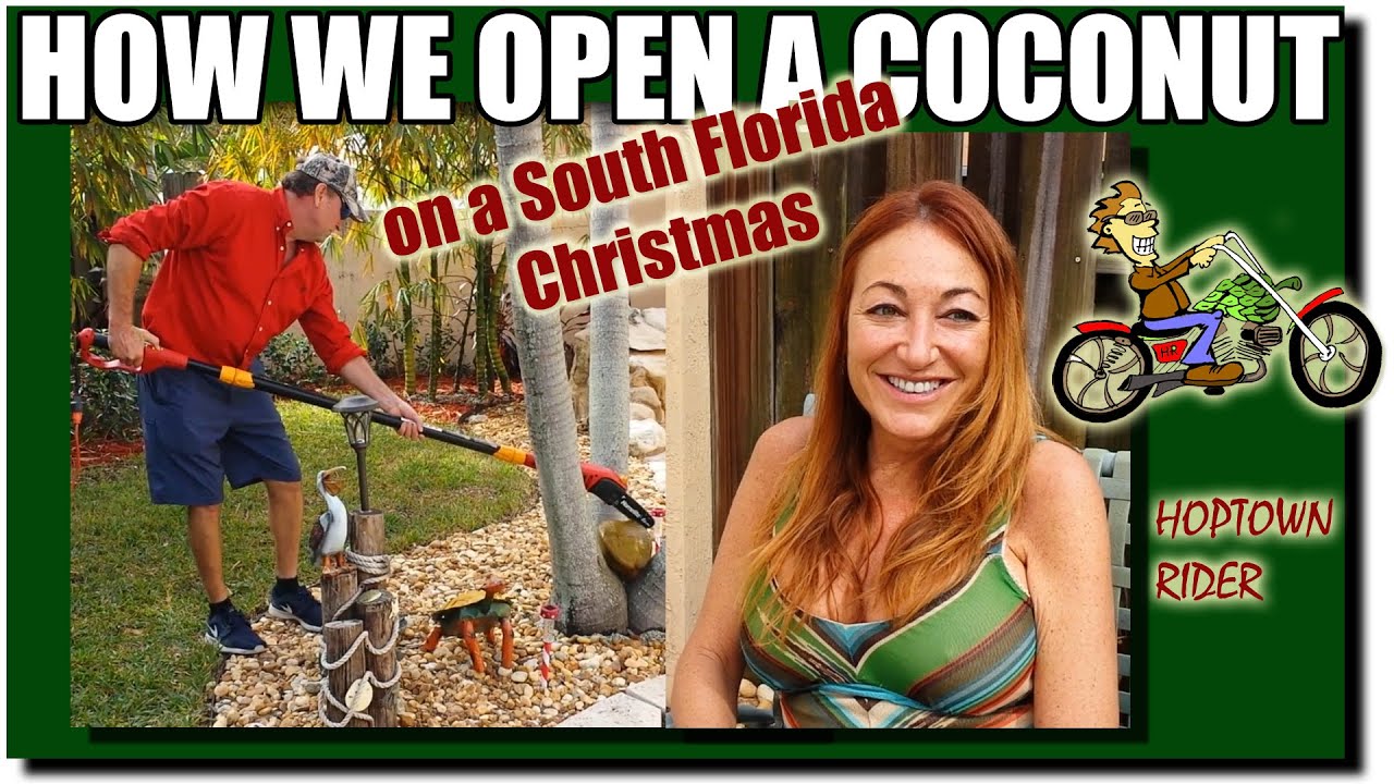 How We Open a Coconut on a Redneck Christmas Morning in South Florida ...