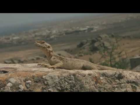 Ticketsetup - Gobustan National Historical-Artistic Preserve