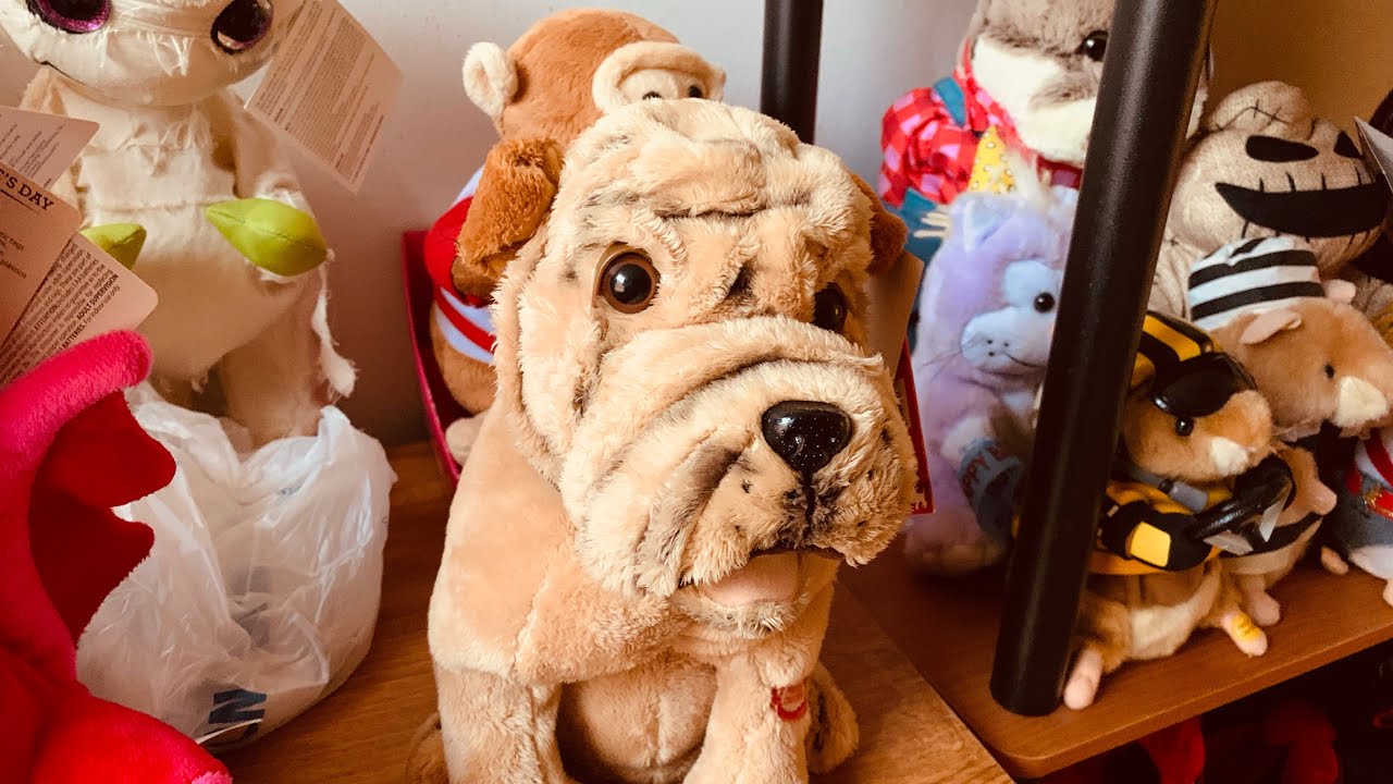 TL Toys animated singing Dog - YouTube