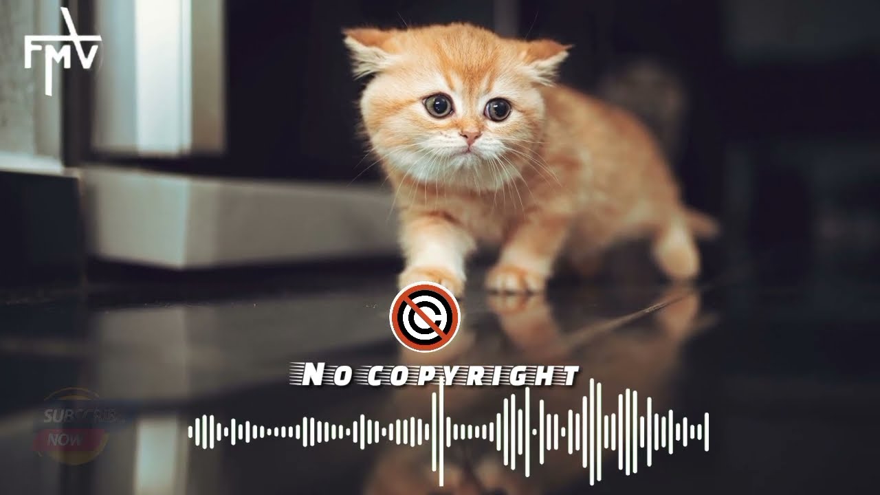 Cat meowing sound | kitten meowing sound | copyright free cat meowing ...