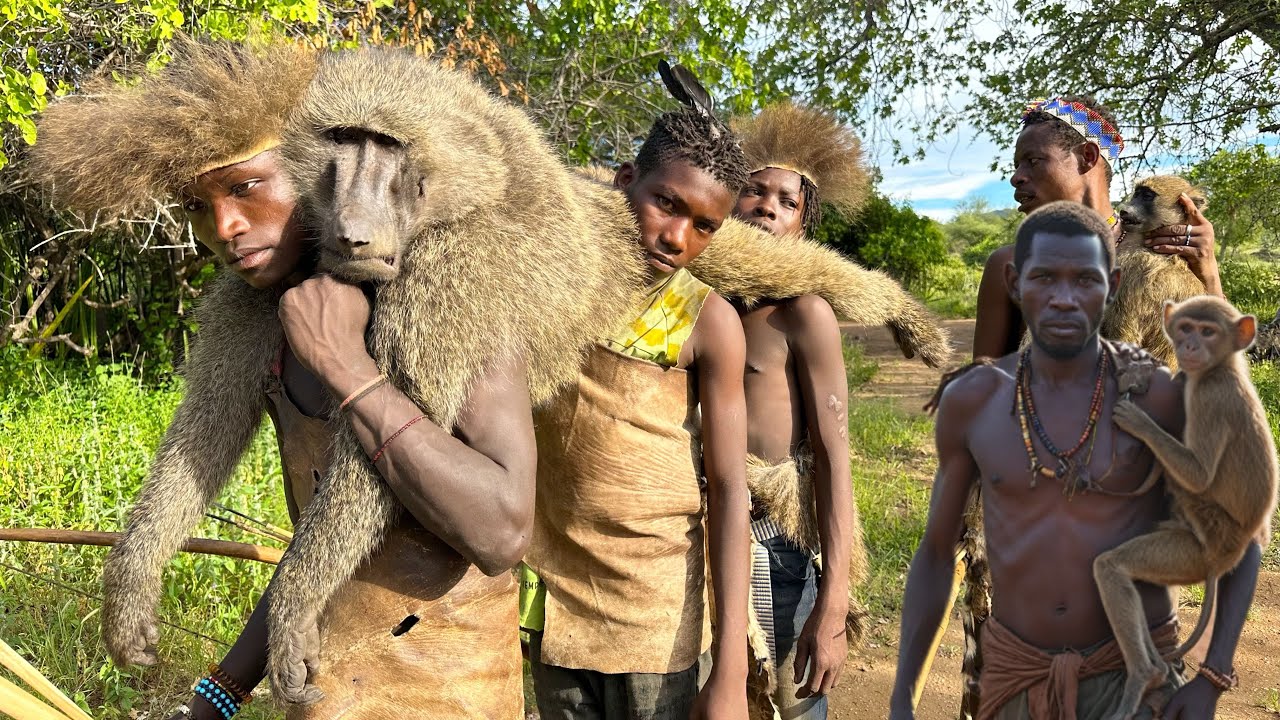 Discover Hadzabe Tribe Baboon Monkey Hunt | baboon eating tribe - YouTube