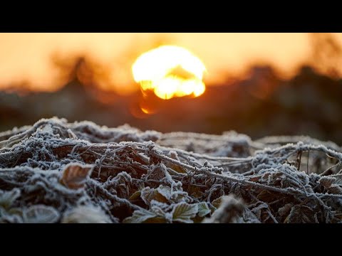 Werden wir weiße Weihnacht haben?