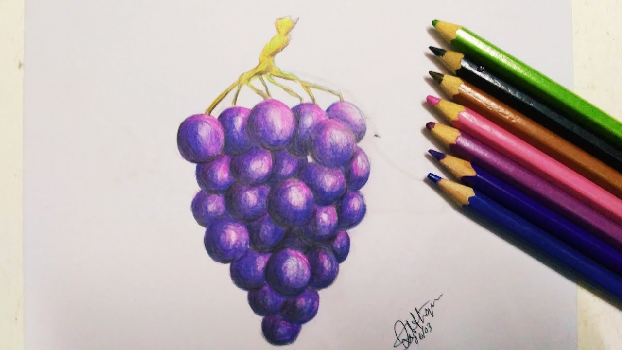 Grapes Easy Drawing Drawing and pencil coloring Tutorial video for ...