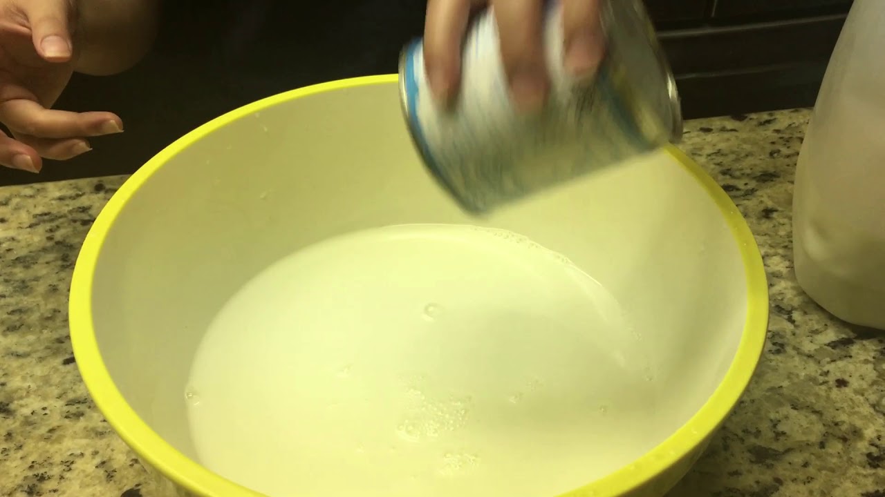 Biotech 2 Fermentation Project Yogurt - YouTube