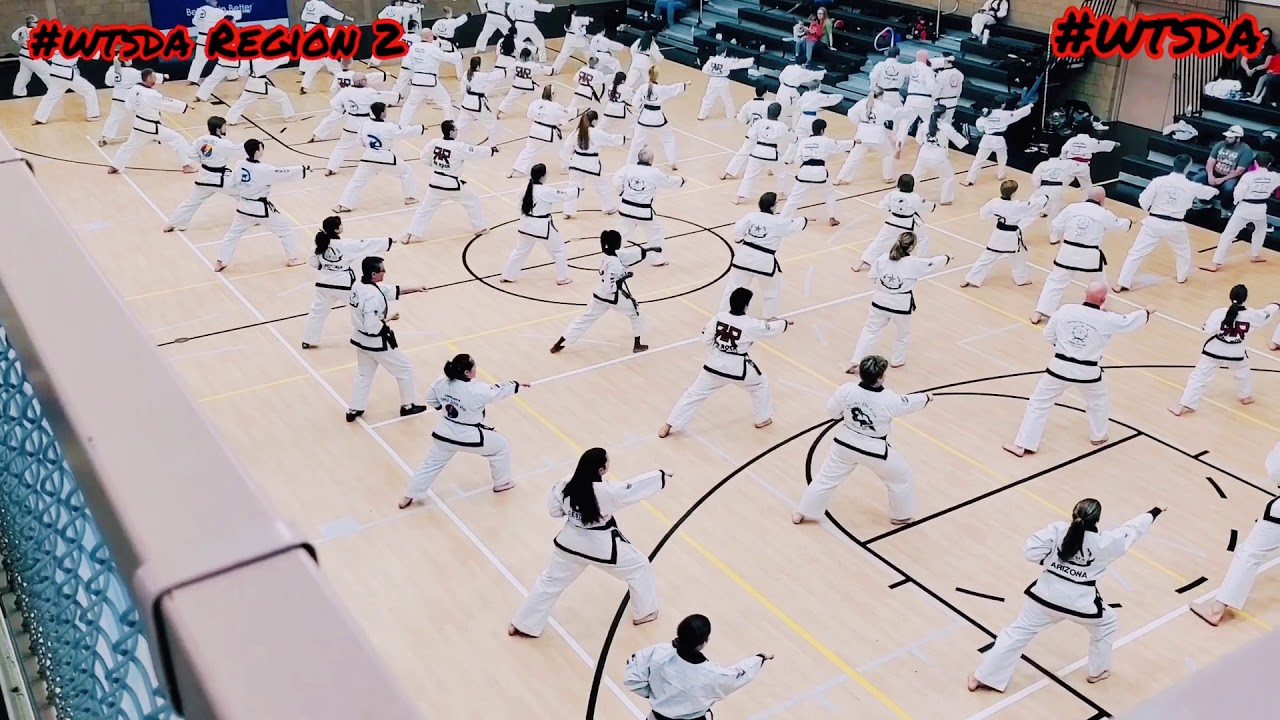 WTSDA Region 2 Blue and Black Belt Camp: Forms Practice! - YouTube