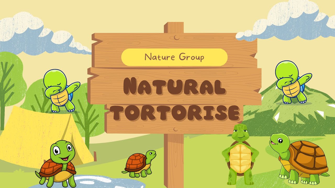 "Timothy the Tortoise: Tales from the Tranquil Thicket" - YouTube