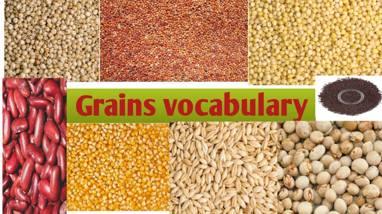 Grains vocabulary/grains name in English with pictures/45 grains,seeds ...