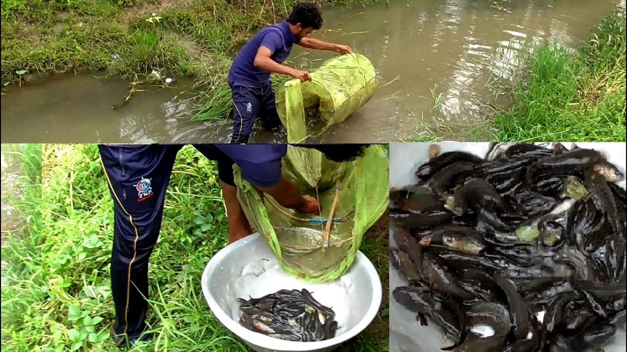 Net Fish Trapping Tools - Fishing From Slow Water Flow - Country Fish ...