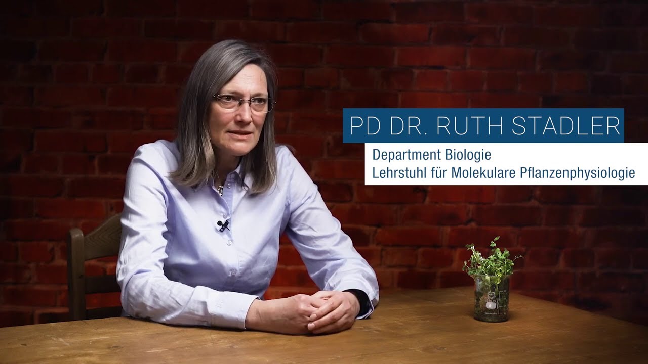 FAU Digitale Lehre - Good Practice mit Dr. Ruth Stadler ...