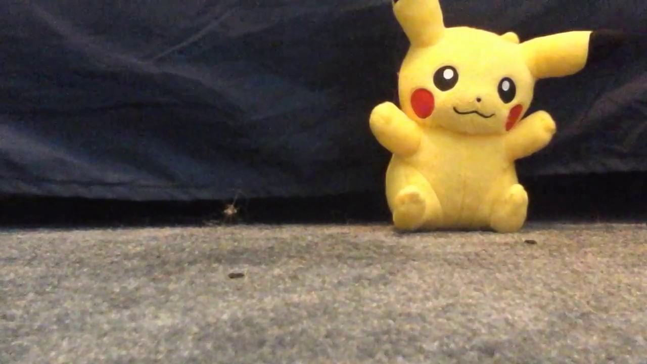 Plushy Pokemon interview ep. 4 - YouTube