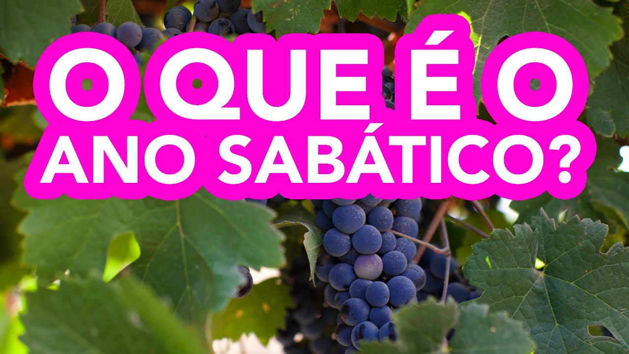 O Ano Sabático está começando - Shenat Shemita - Notícias de Israel ...