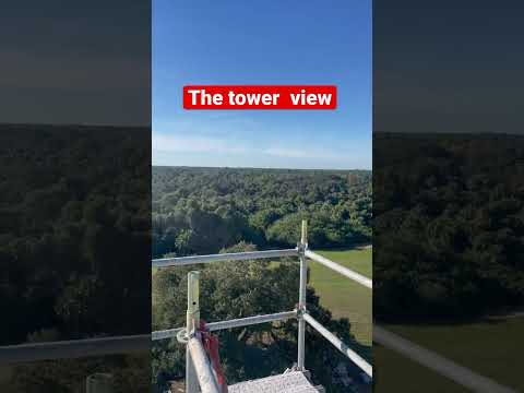The cattle at the tower view - YouTube