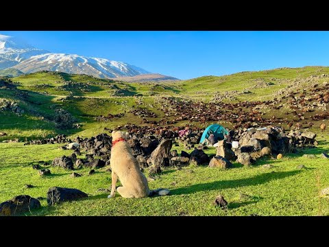 KOCA DAĞDA SU SORUNU - ESKİ YERLEŞİM YERİ