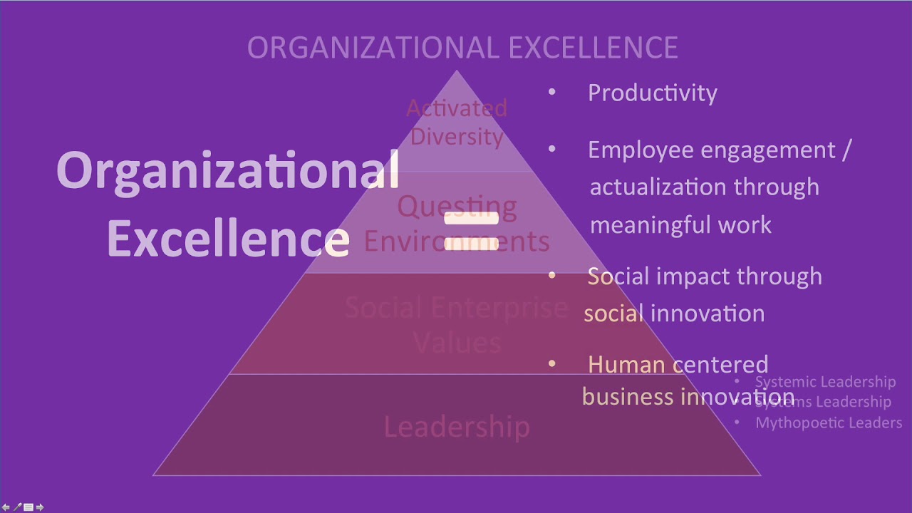 A New Approach to Organizational Excellence - YouTube
