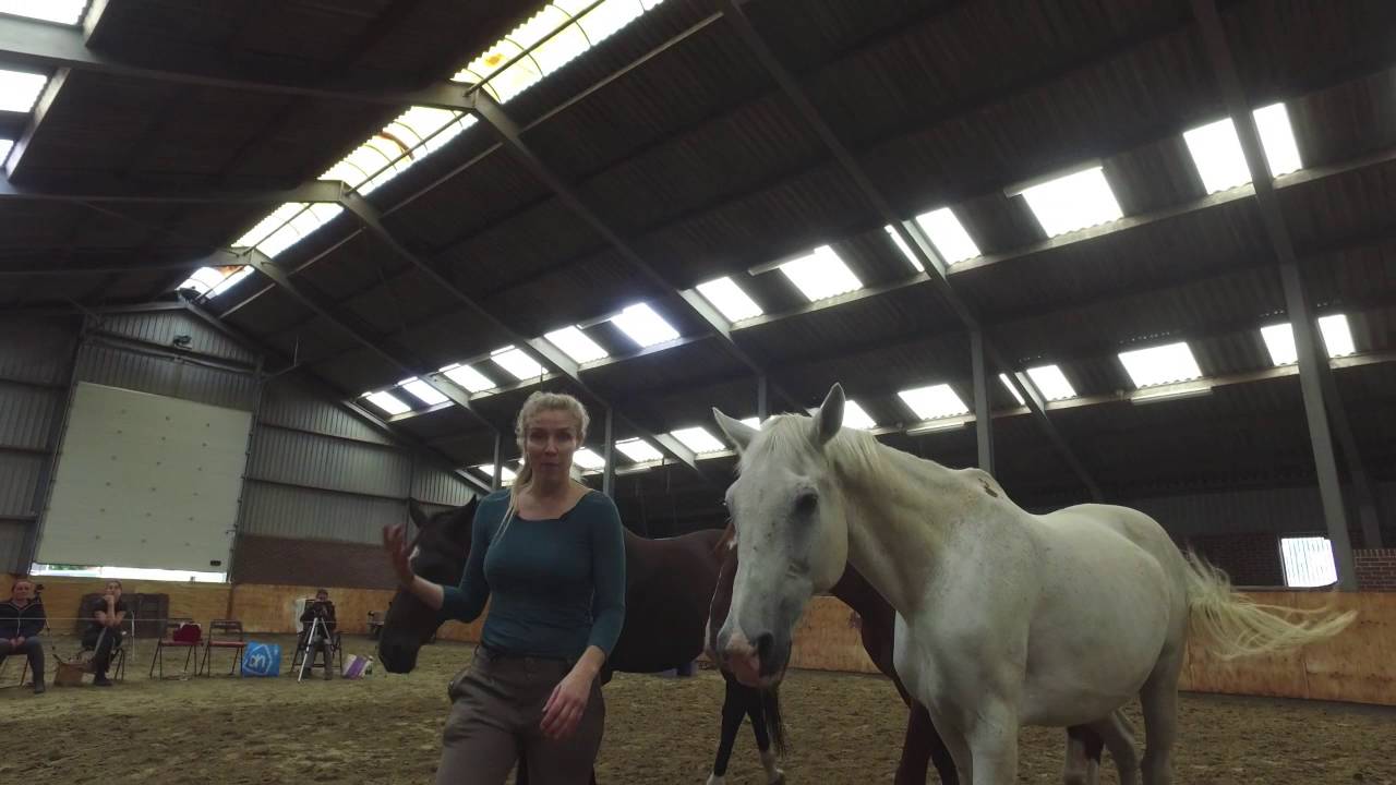 5 Training Pillars of Straightness Training | 60 Seconds of ST #09 ...