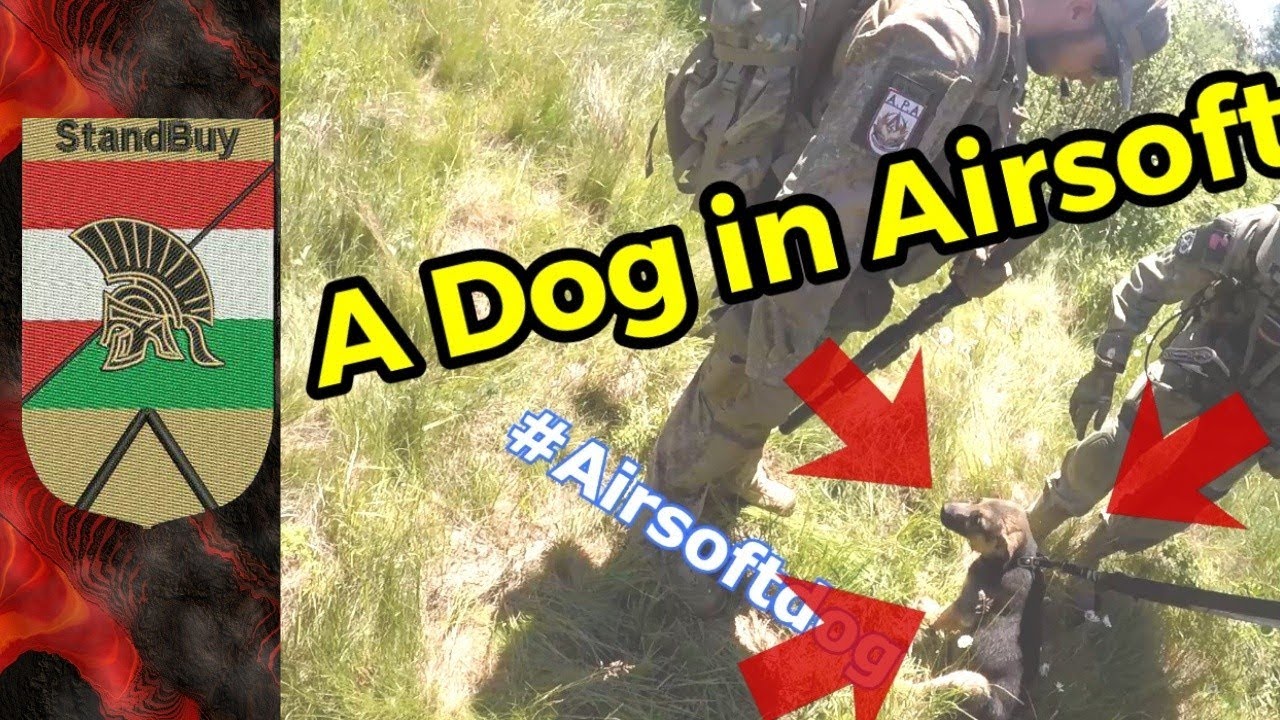We found a dog on the airsoft field | ICS CXP UK1 Transform 4 DMR ...