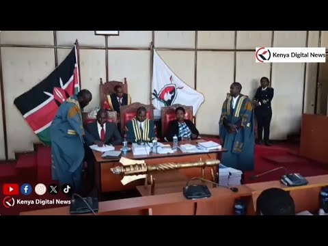 Narok County Assembly Approves Removal of CPSB CEO Sylvia Nashipae ...