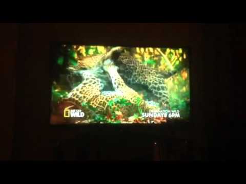 National Geographic Destination Wild Advert 2015 - YouTube