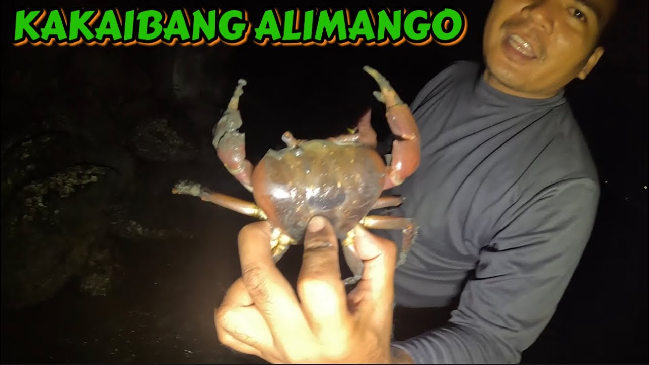 Jackpot sa alimango - YouTube