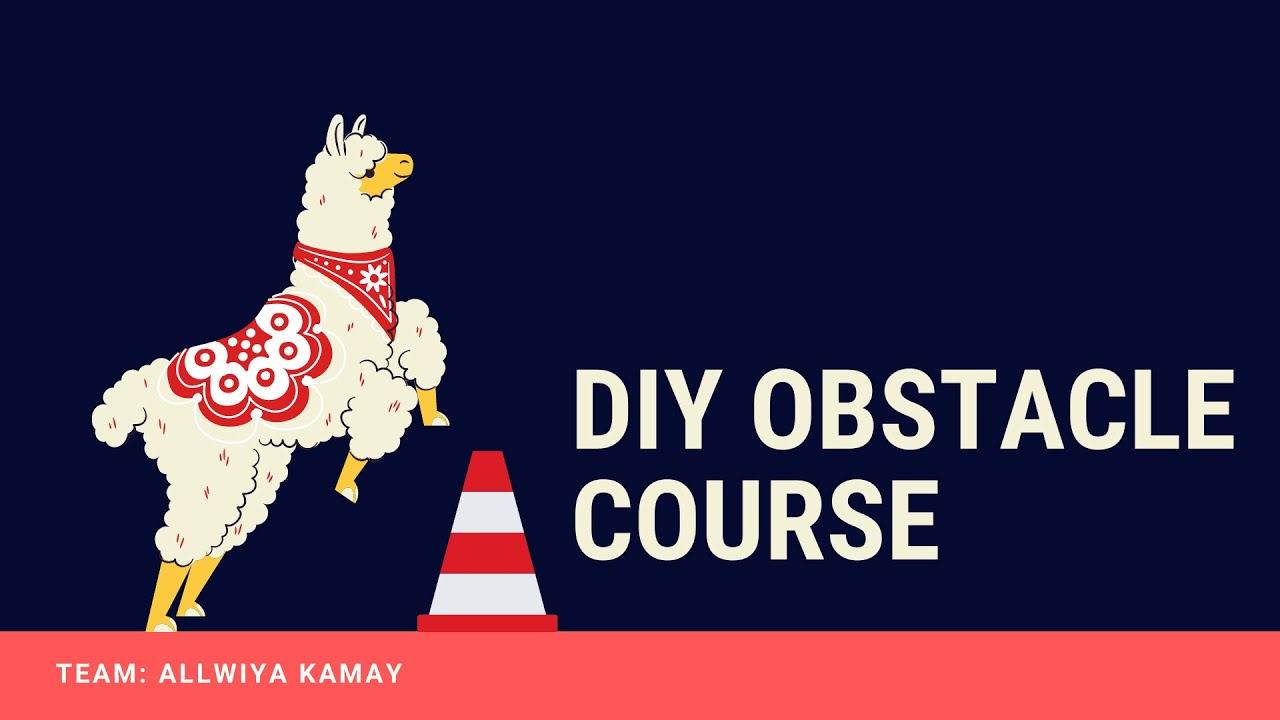 Yachak Llama - DIY Obstacle Course - YouTube