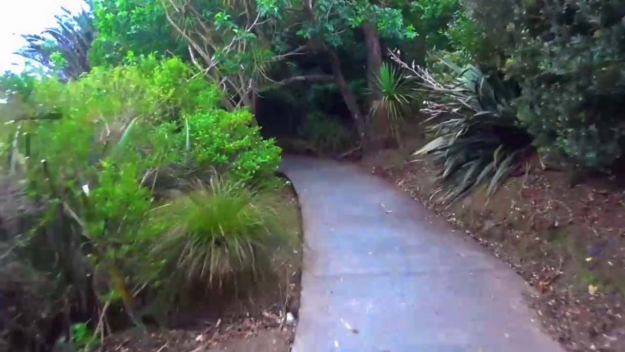 Cycling in Auckland - Rotary Walkway Stage 1 - YouTube
