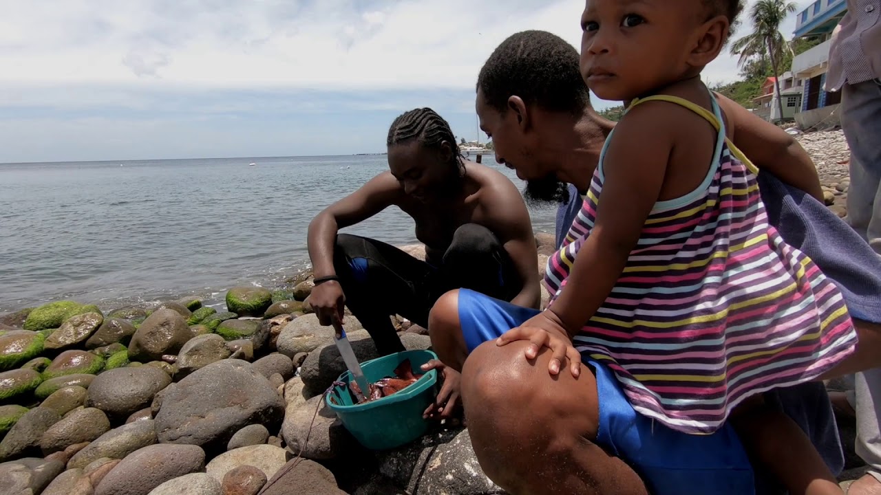 Dominica Spear Fishing - YouTube