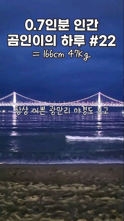 0.7인분 인간 곰인이의 하루 #22 (166cm 47kg) 순두부찌개, 샤브샤브, 감자튀김, 맥주, 광안리, 드론쇼 #shorts - YouTube