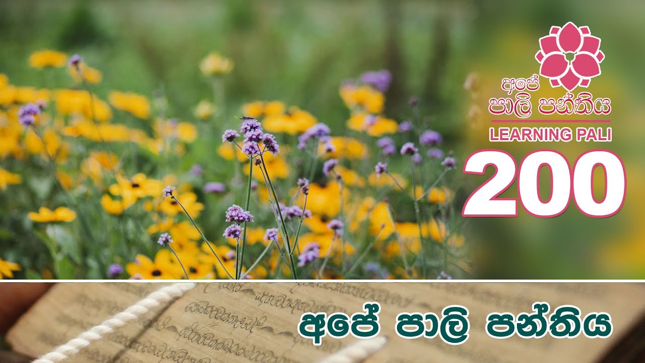අපේ පාලි පන්තිය 200 | Learning Pali Language - YouTube